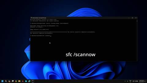 service system exception error