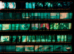 Top 5 Tools To Make A Home Movie Online For Free