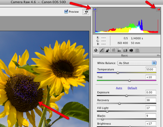 How To Edit RAW Photos in Adobe Camera Raw