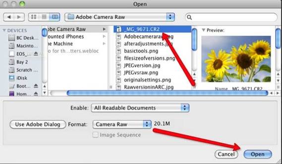 How To Edit RAW Photos in Adobe Camera Raw