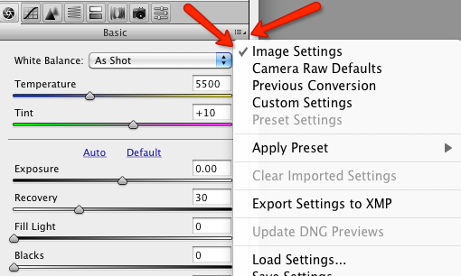 How To Edit RAW Photos in Adobe Camera Raw