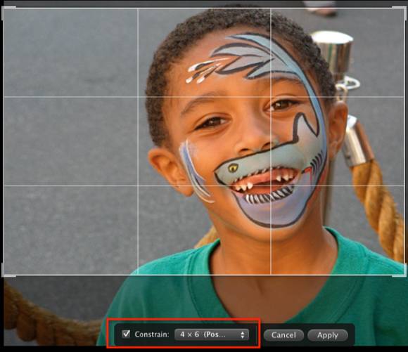 The Basics of Photo Cropping That You Should Understand