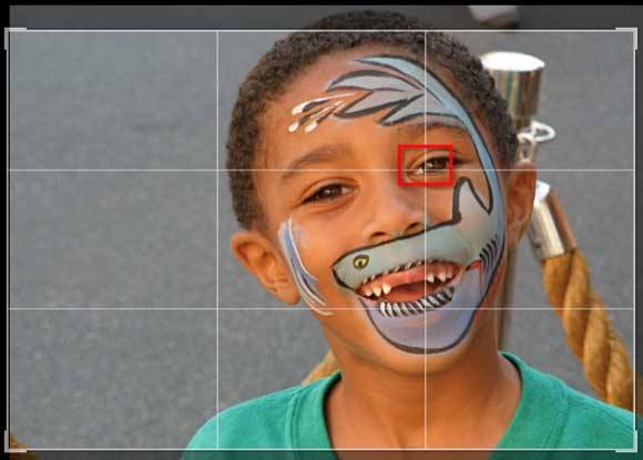 The Basics of Photo Cropping That You Should Understand