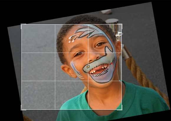 The Basics of Photo Cropping That You Should Understand