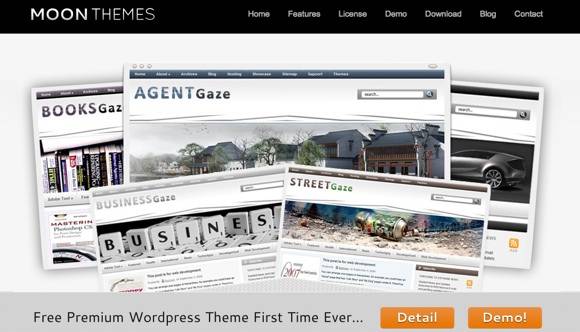 10+ Resources For Free Professional WordPress Themes