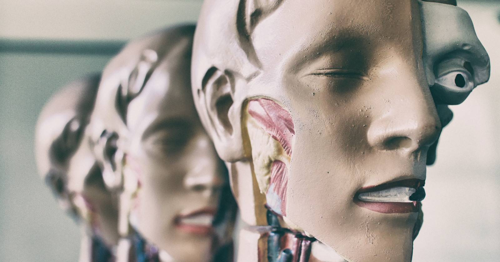 The 6 Best Virtual Tours of the Human Body for Interactive Anatomy