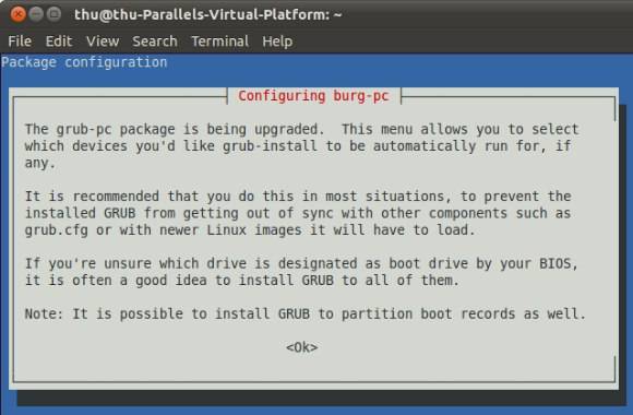 How To Customize The GRUB Boot Loader Using BURG [Ubuntu]