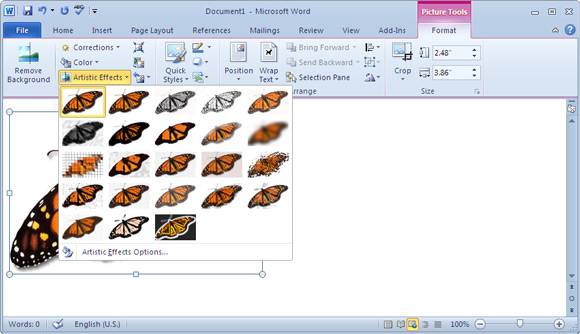 How To Take A Screenshot & Apply Artistic Effects With The New MS Word 2010