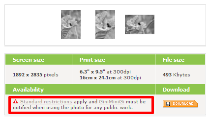 6 Free Websites for Public Domain Images and Free Stock Photos