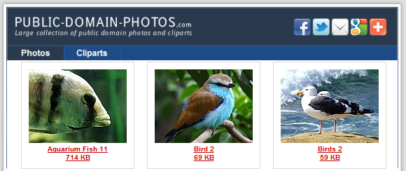6 Free Websites for Public Domain Images and Free Stock Photos