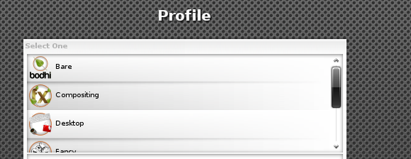 Bodhi Linux Is Beautiful & Works On Very Old Computers [Linux]