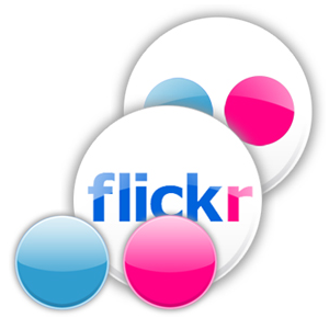 10 Crazy Pictures I Discovered on Flickr