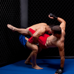 5 Apps Every MMA Fan Needs To Have Installed [iOS]