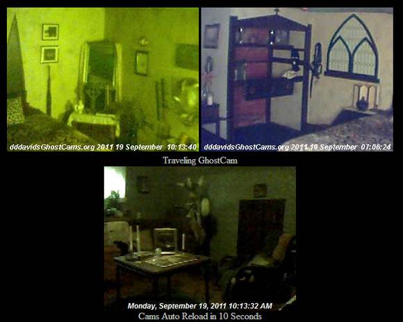 10 Unique Live Webcam Feeds To Watch Around The World