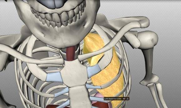 BioDigital Human - An Amazing 3D Map & Reference Of The Human Body
