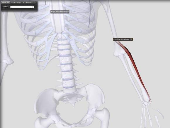 BioDigital Human - An Amazing 3D Map & Reference Of The Human Body