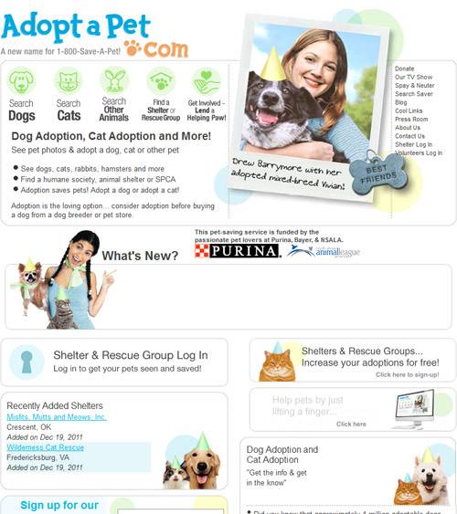 5 Best Animal Rescue Sites To Find Your Next Pet