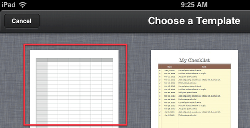How To Create A Cool Looking Form In Numbers '09 [iOS]
