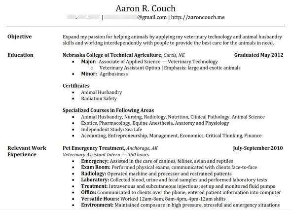 Your All-In-One Guide To Building The Perfect Resume