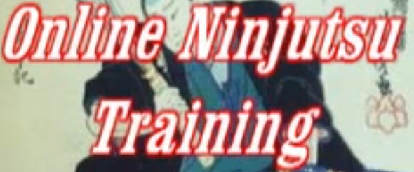 3 YouTube Channels That Will Teach You Epic Ninja Training