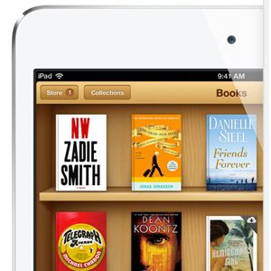 A Beginner's Guide to Setting Up an Ebook Library on iPads