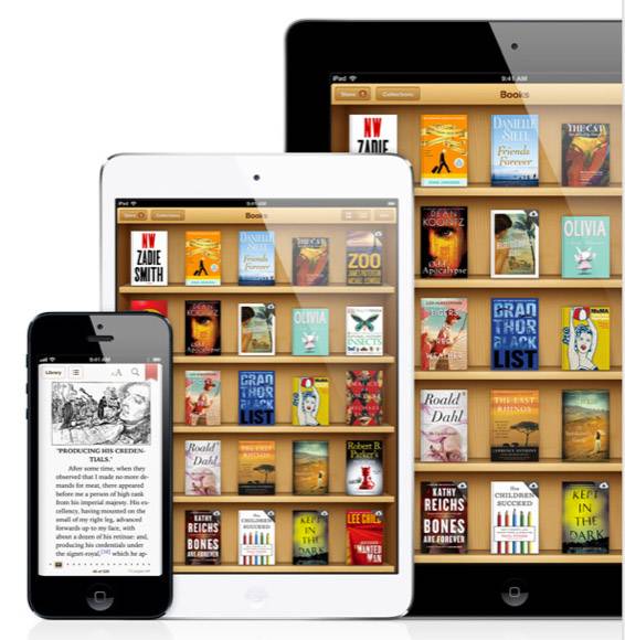 A Beginner's Guide to Setting Up an Ebook Library on iPads