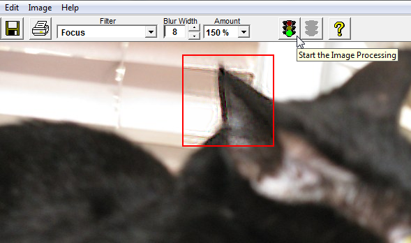 How to Focus and Sharpen Blurry Photos and Movies