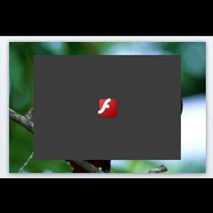 How to Stop Flash From Loading Automatically With FlashControl [Chrome]