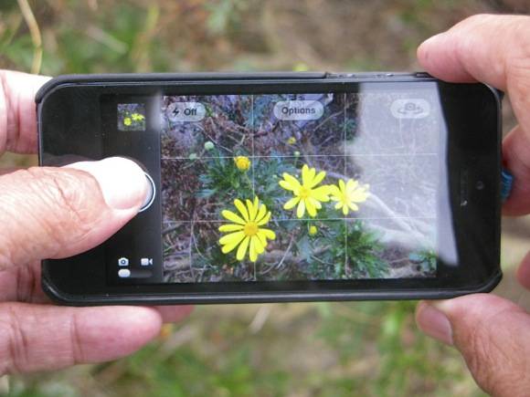 Beginners Guide To Using The iPhone Camera