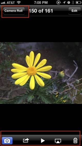 Beginners Guide To Using The iPhone Camera