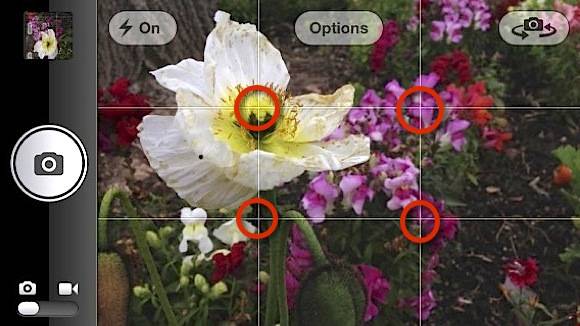 Beginners Guide To Using The iPhone Camera