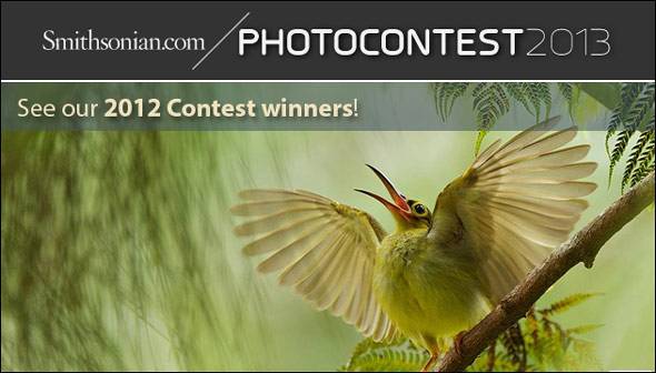 Photo Finish With The Best: 8 Photography Contests You Can Win With ...