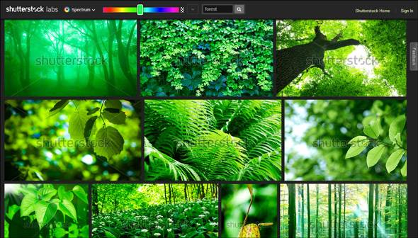 6 Addictive Ways To Play Around With Color And Spice Up Your Photography