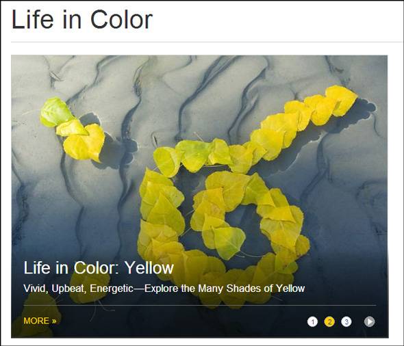 6 Addictive Ways To Play Around With Color And Spice Up Your Photography