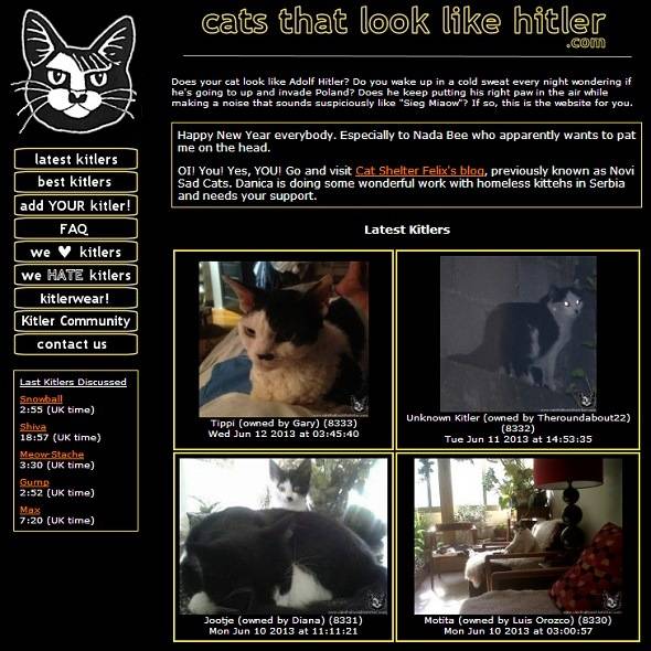 8 Purrfect Cat Websites For Feline Lovers