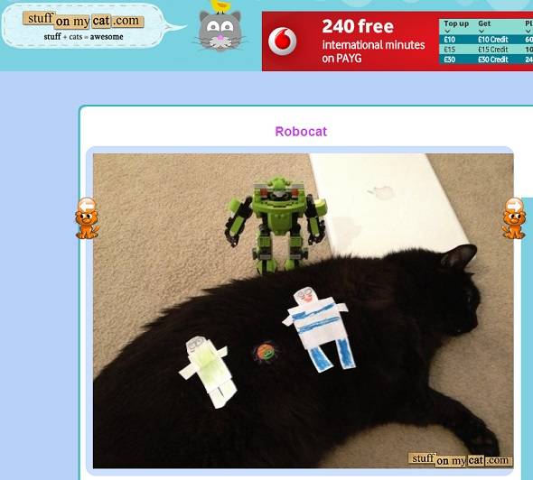 8 Purrfect Cat Websites For Feline Lovers