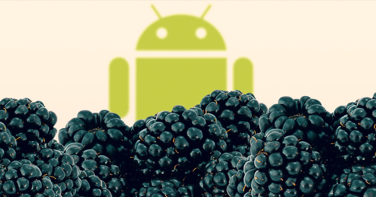 You Got Your Android In My Blackberry - How To Run Android Apps On ...