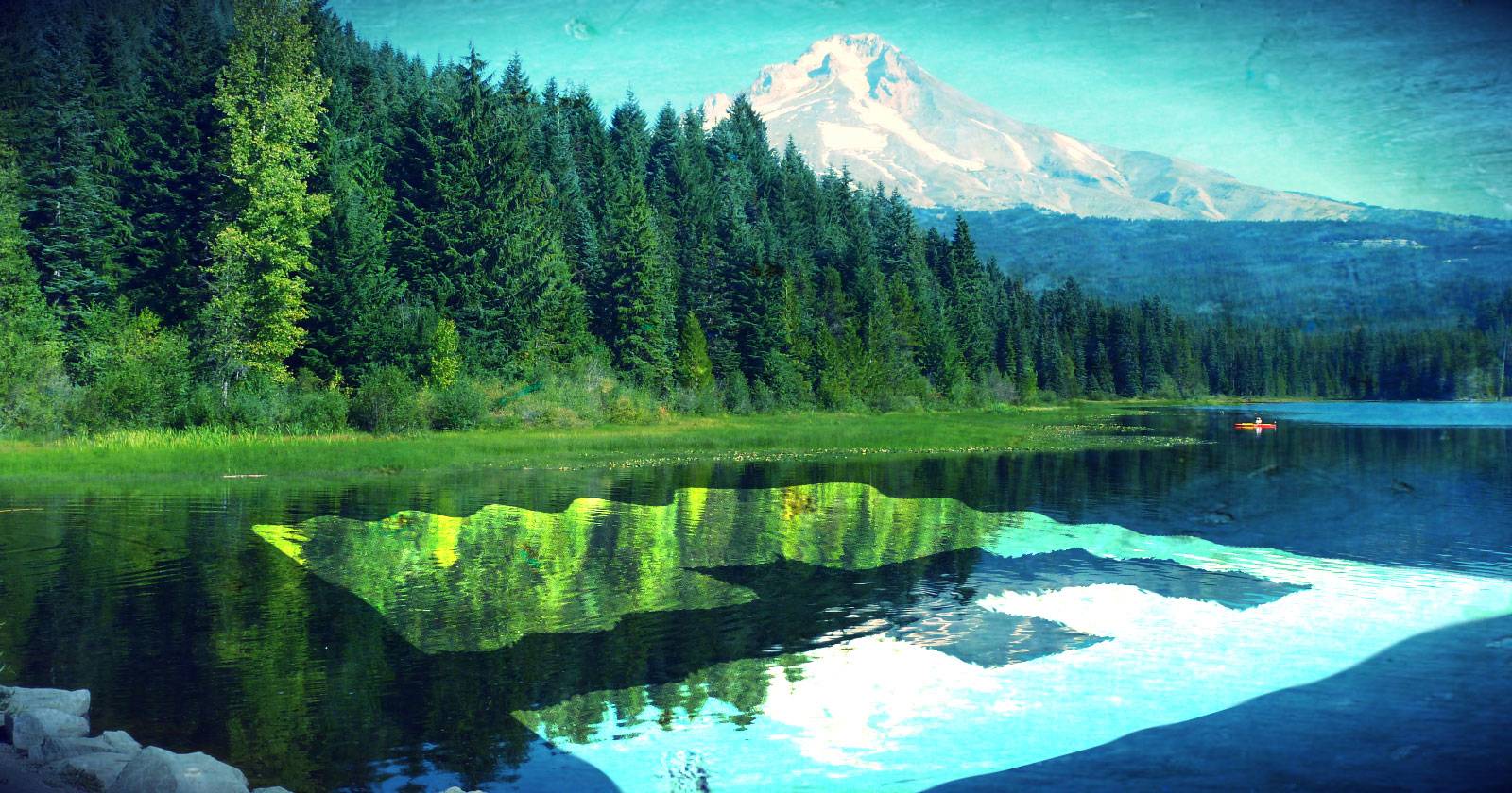 5 Awesome Facebook Pages That Entertain, Educate, And Inspire