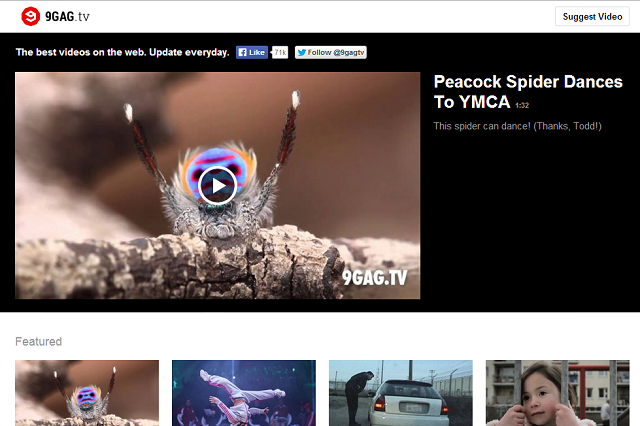 9GAG: Laugh Until You Can't Laugh Anymore