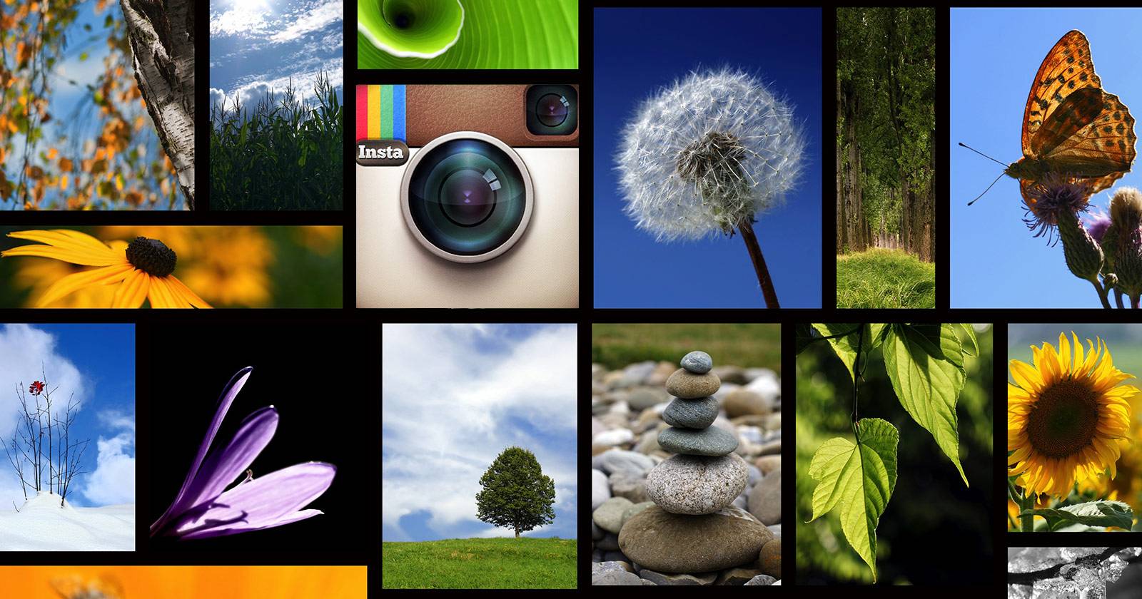 5 Additional Instagram Apps Everyone Should Be Using