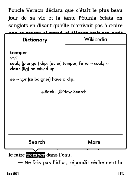 How To Learn A Language Using The Kindle Paperwhite