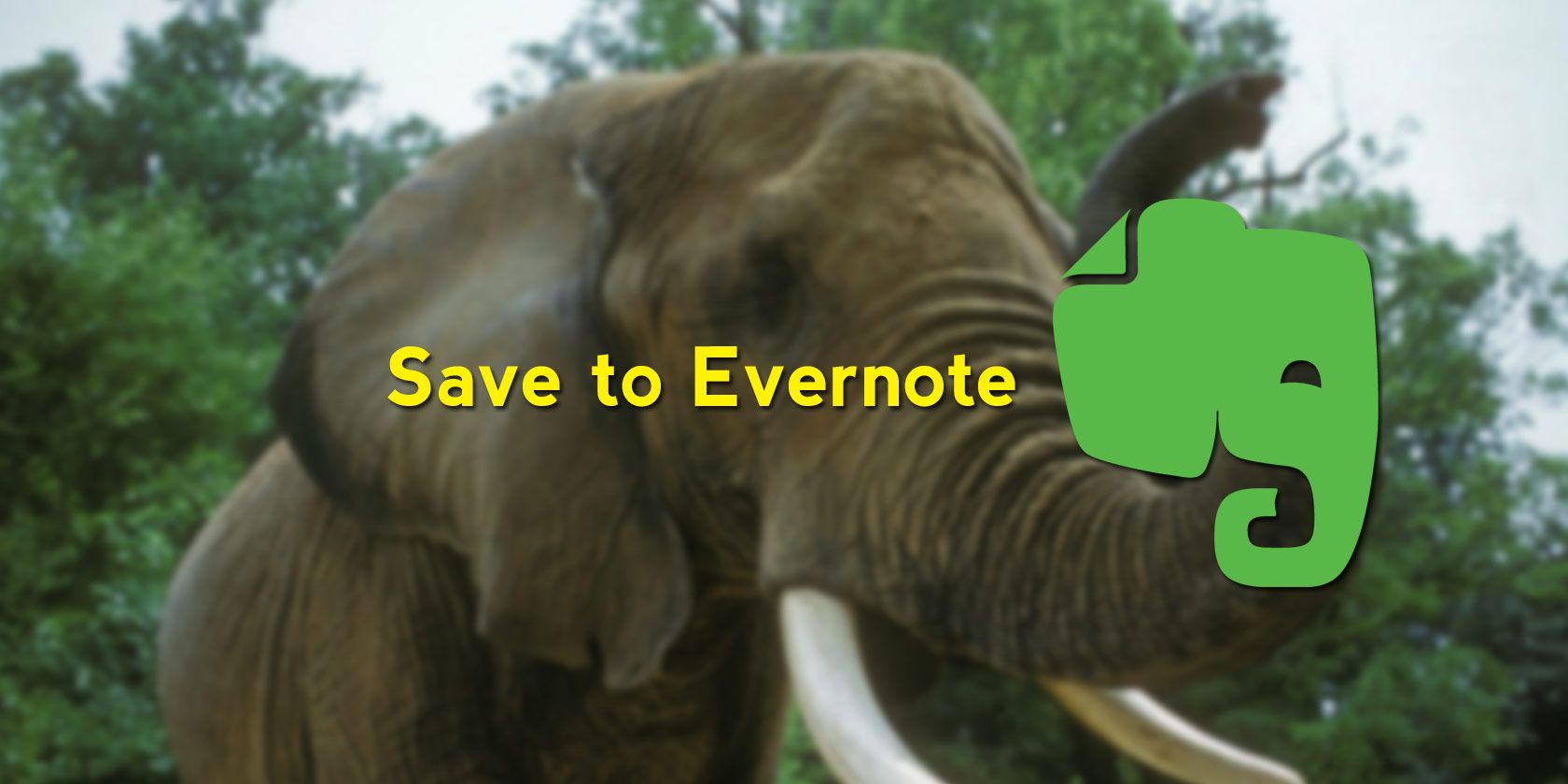 Send Content To Evernote In Record Time Using Drafts For iOS