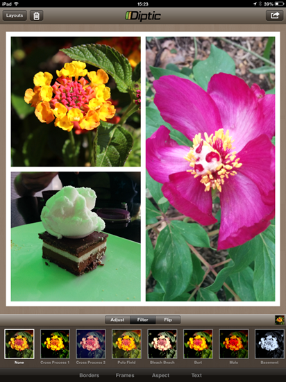 Create Impressive Diptychs & Triptychs On Your iPhone or iPad