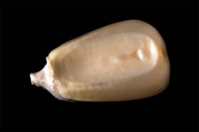 Why You Should Consider Using A Custom Android Kernel