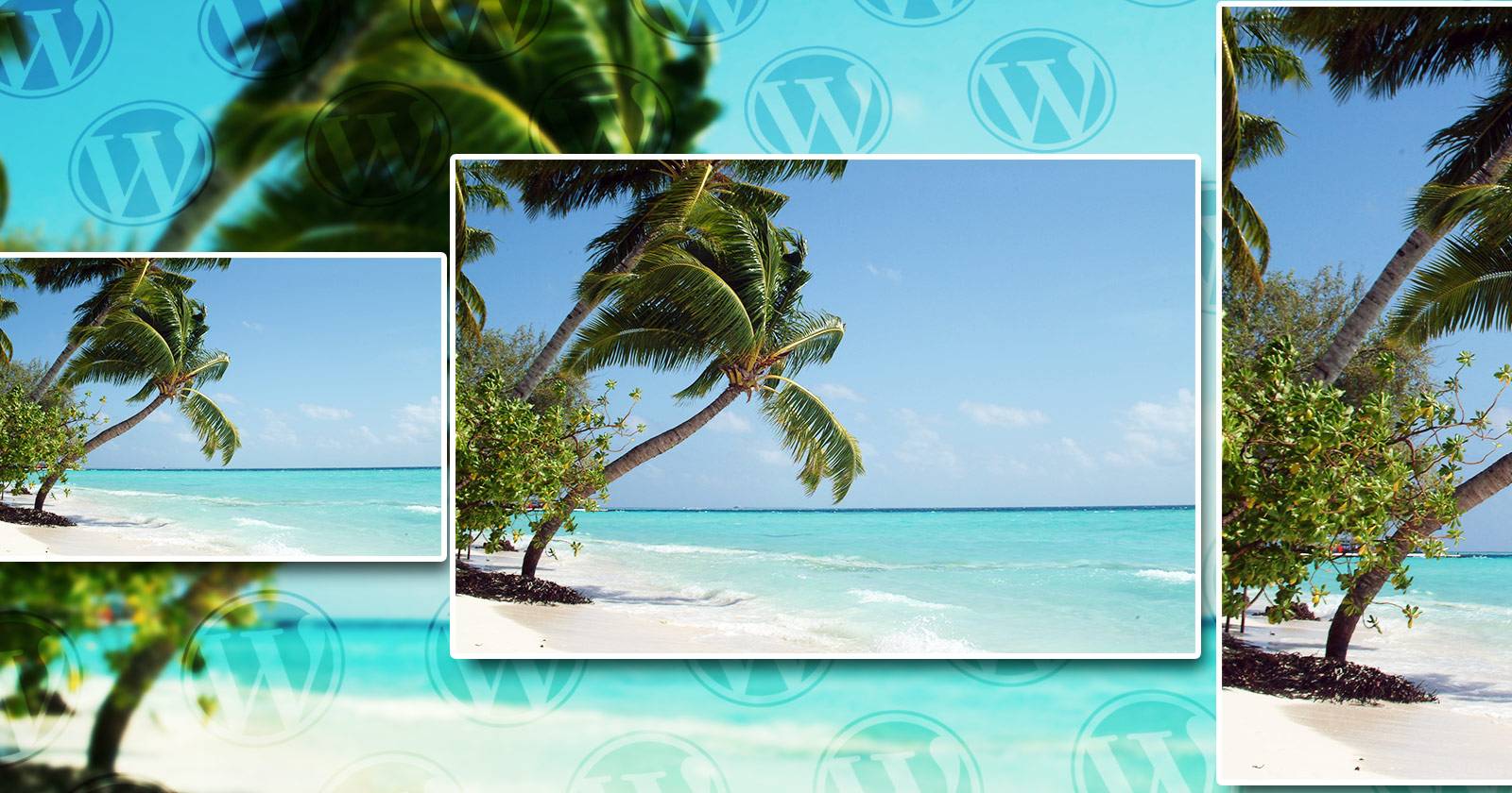 The Complete Guide to Featured Thumbnails and Image Sizes in WordPress