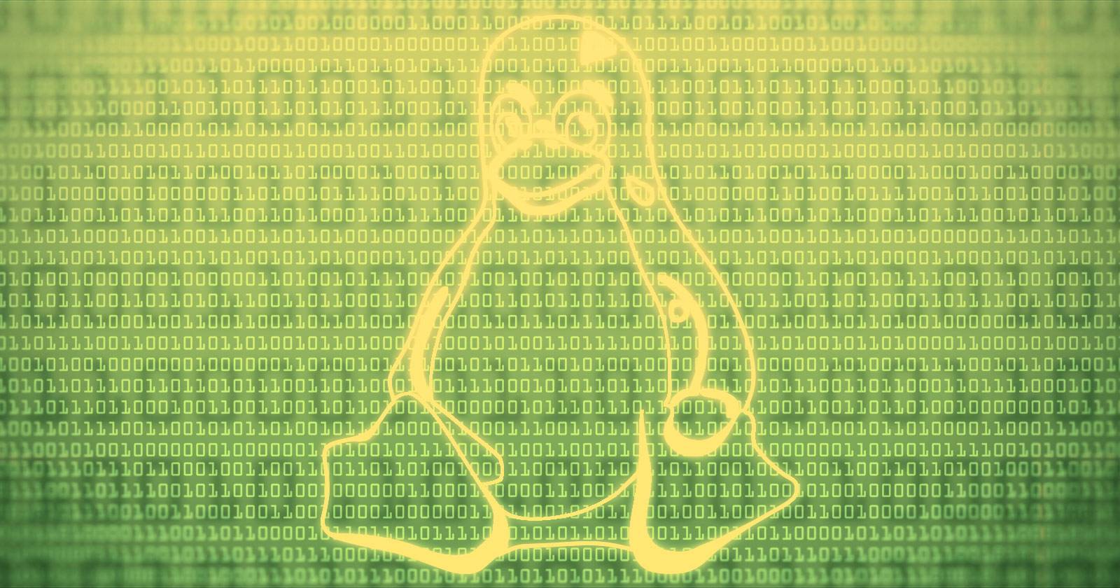 What Is a Kernel in Linux and How Do You Check Your Version?