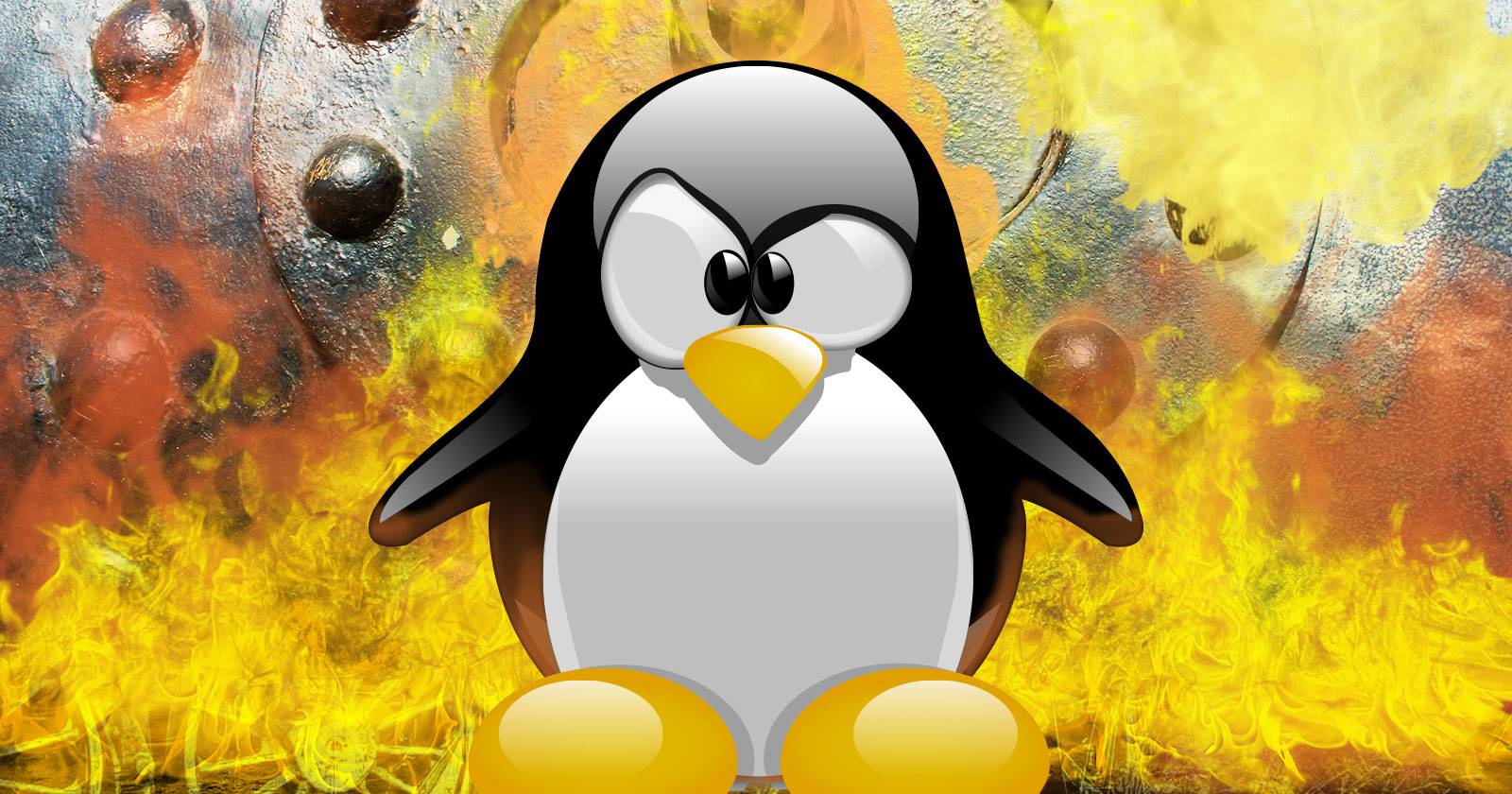 The Newest Linux Operating Systems for Every Niche
