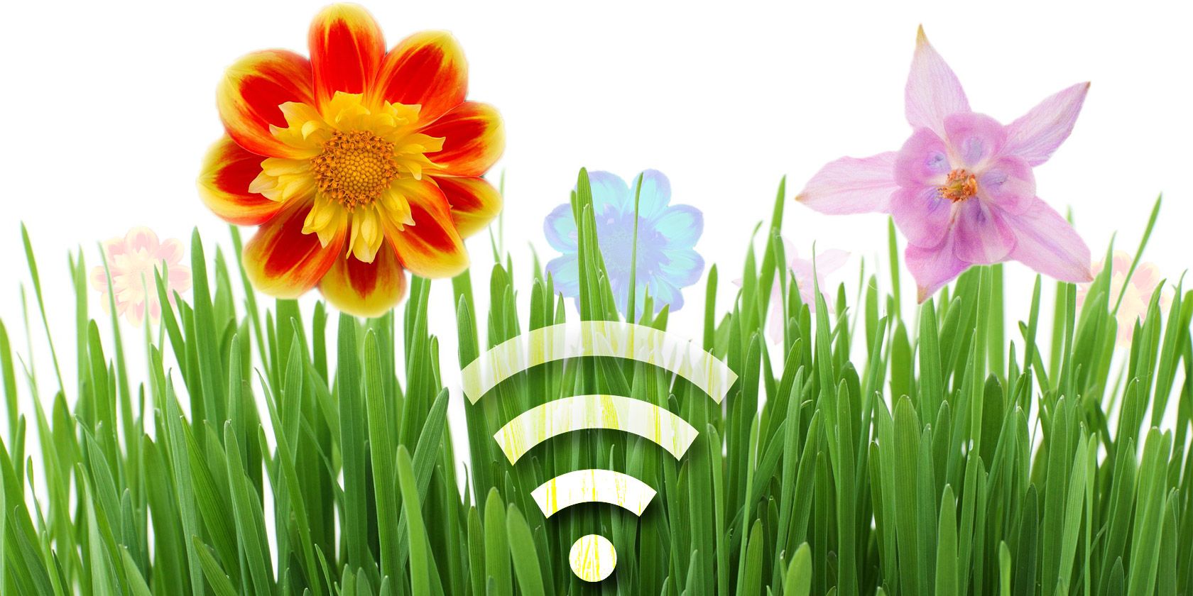 5 Smart Devices To Help Manage Your Garden