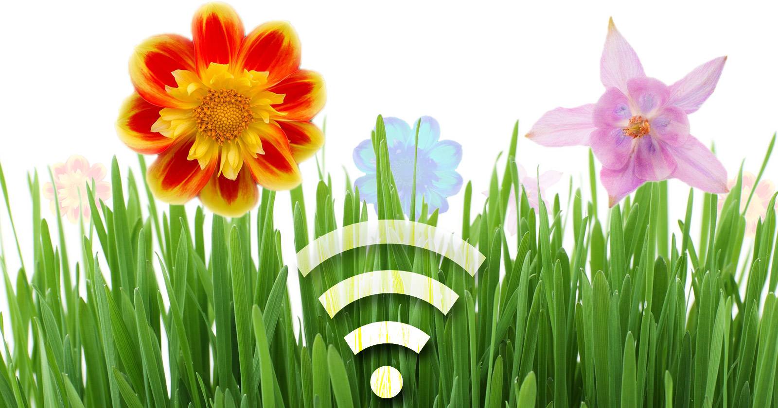 5 Smart Devices To Help Manage Your Garden