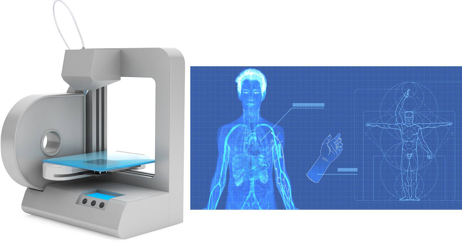 How 3D Printing Humans Might Be Possible Some Day